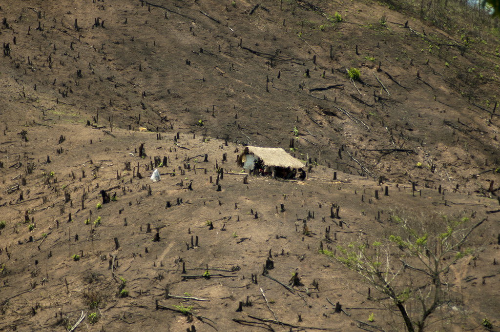 Kaingin Need To Stop – Planet Mania